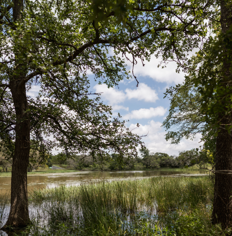 Santa Rita Ranch's Story | Santa Rita Ranch