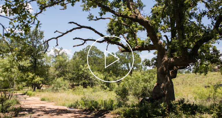 Community Amenities Virtual Tours | Santa Rita Ranch