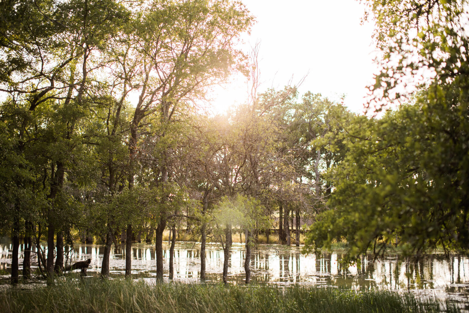 New Home Community Galleries | Santa Rita Ranch