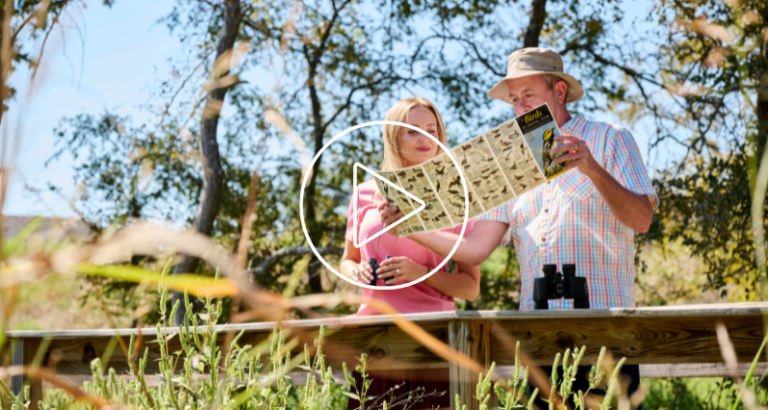 Community Amenities Virtual Tours | Santa Rita Ranch